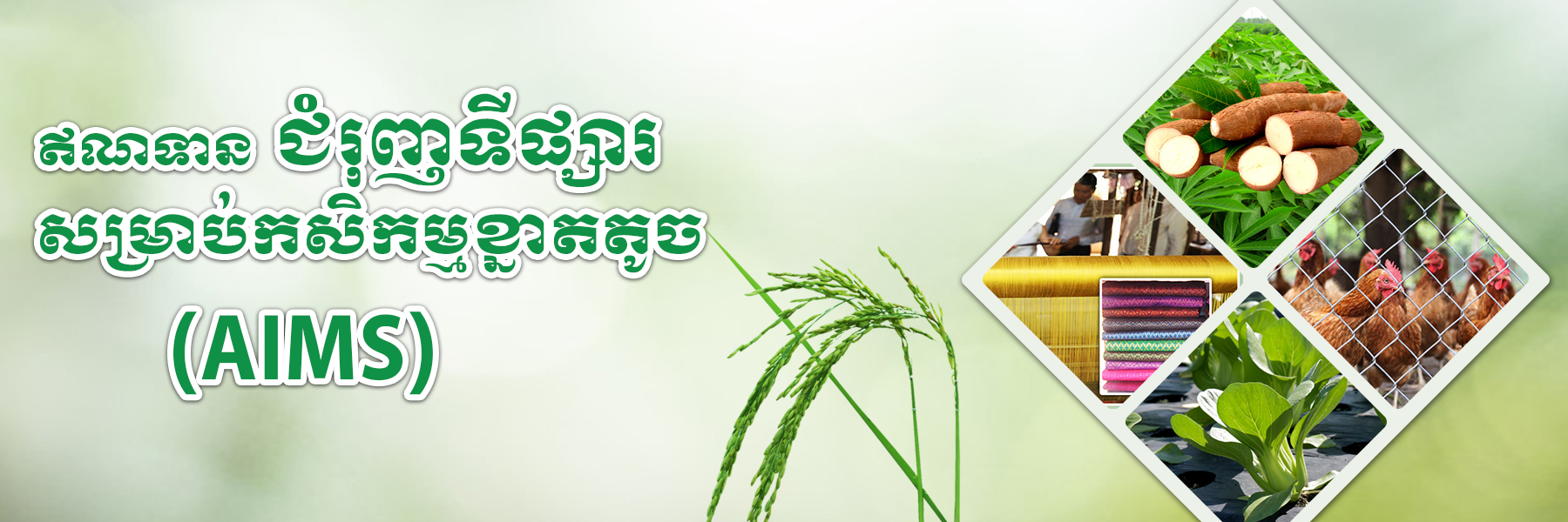 Agricultural and Rural Development Bank