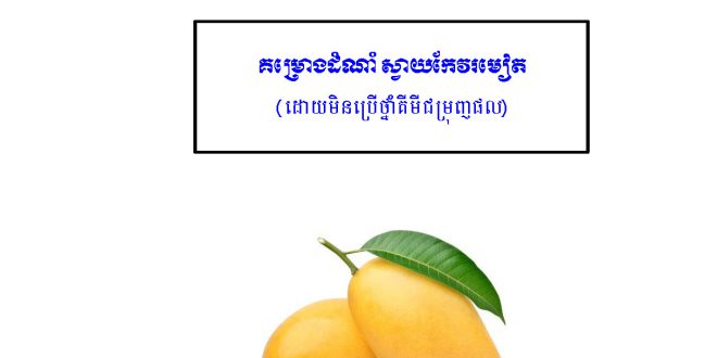 Keo Romeat Mango Planting Project – ARDB Bank