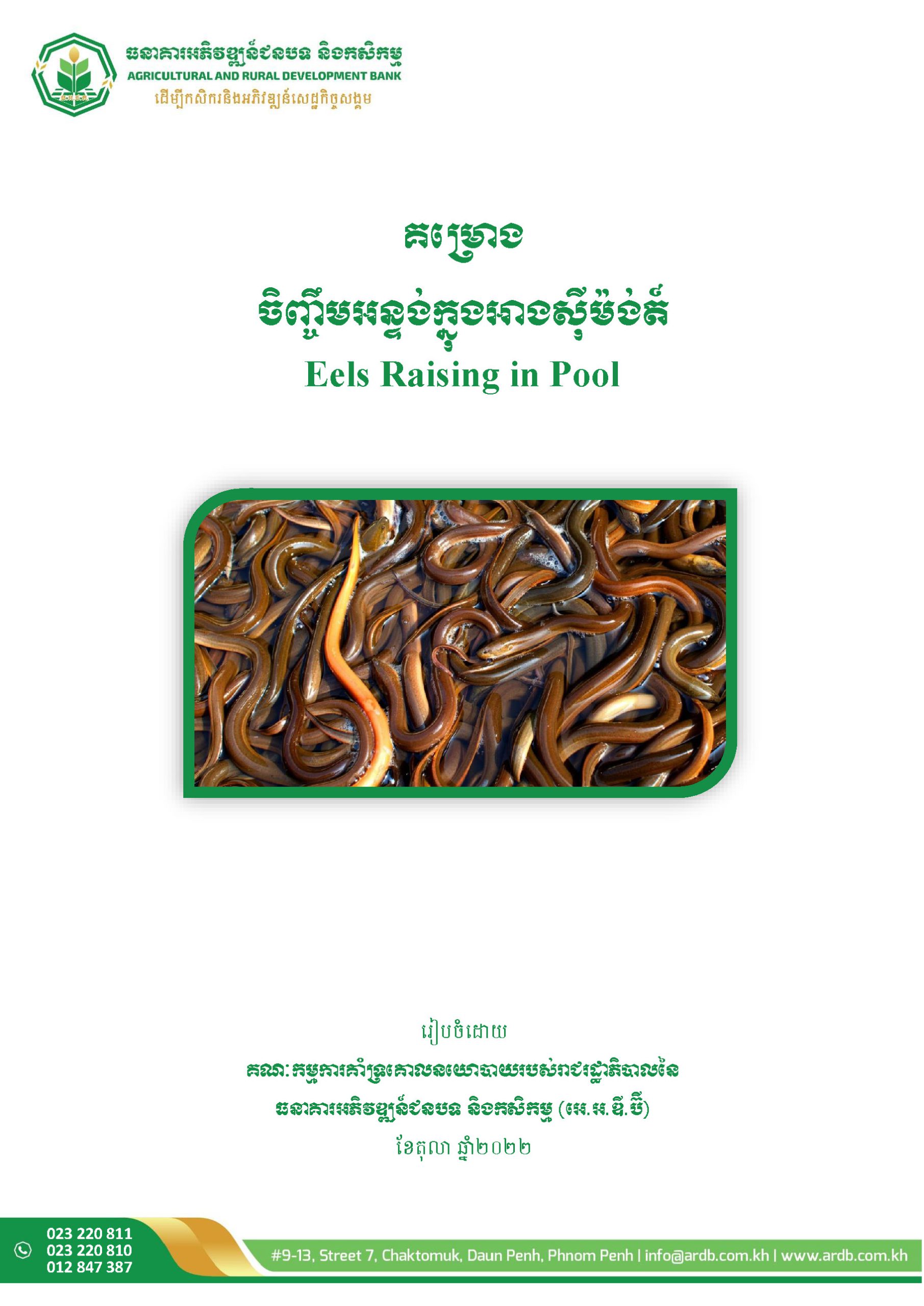 Eels Raising in Pool – ARDB Bank
