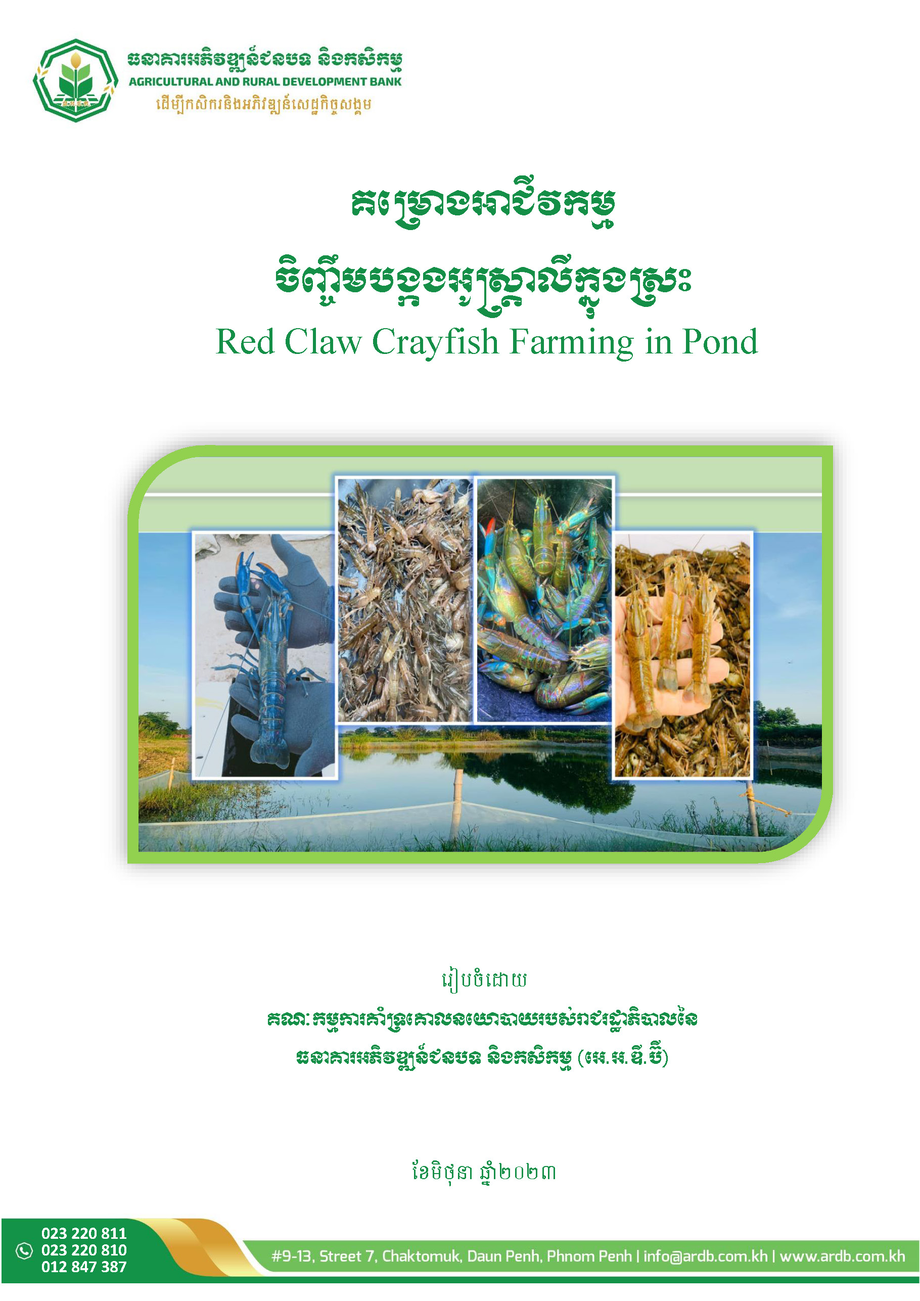 Red Claw Crayfish Farming in Pond – ARDB Bank