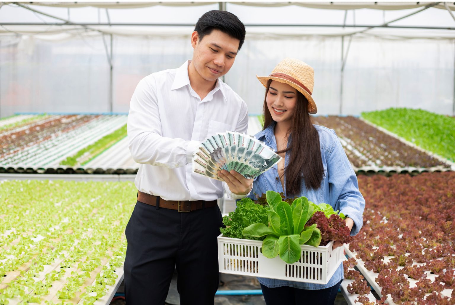 ARDB Bank – ARDB Bank known as the Agricultural And Rural Development Bank.